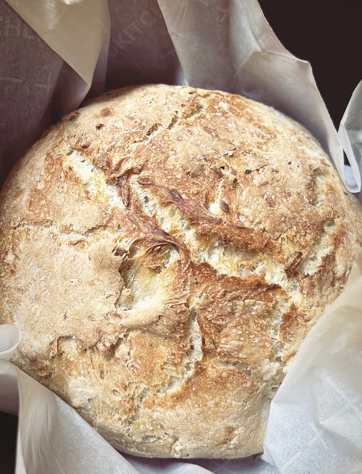 Artisan Bread - The Haunted Foodie